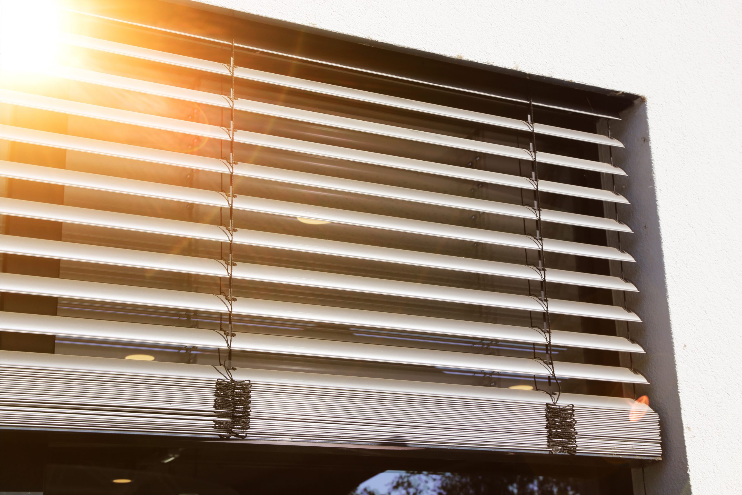 Brisa Solar – Estores, Inácio Bento